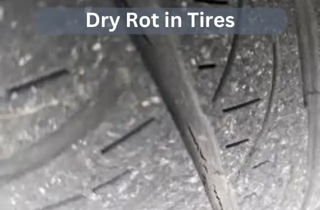 Understanding Dry Rot In Tires: Causes, Signs And Preventive Measures